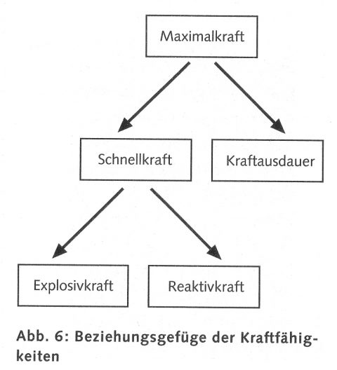 Lehrbrief 2 – 1.1 Krafttraining und Trainingsmethoden | Tutorials