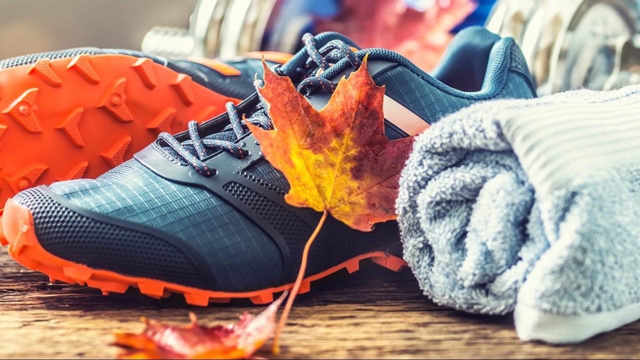 Lehrbrief 13 – 2.2 Muskeln der Hüfte und der Beine | Tutorials